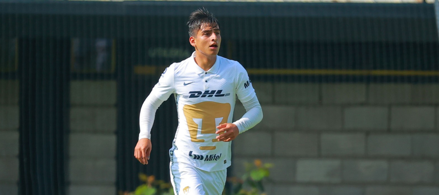 Toluca busca refuerzos para el Apertura 2024 | VIIVO Sports