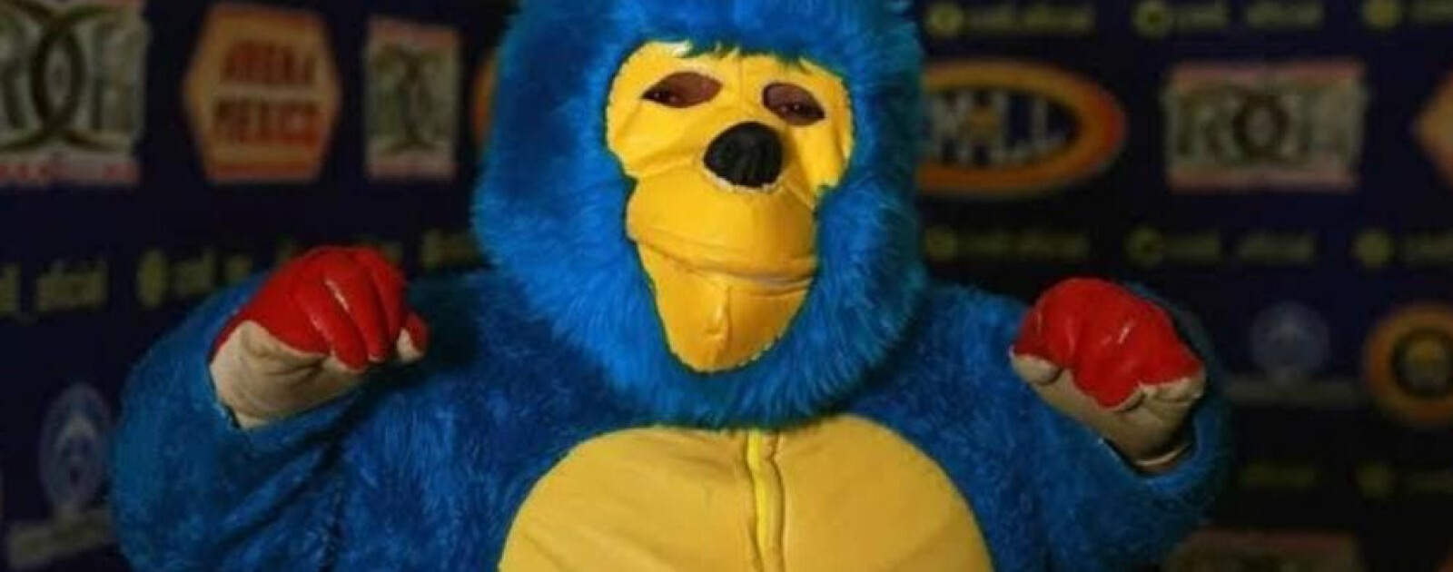 Kemonito, lo bonito